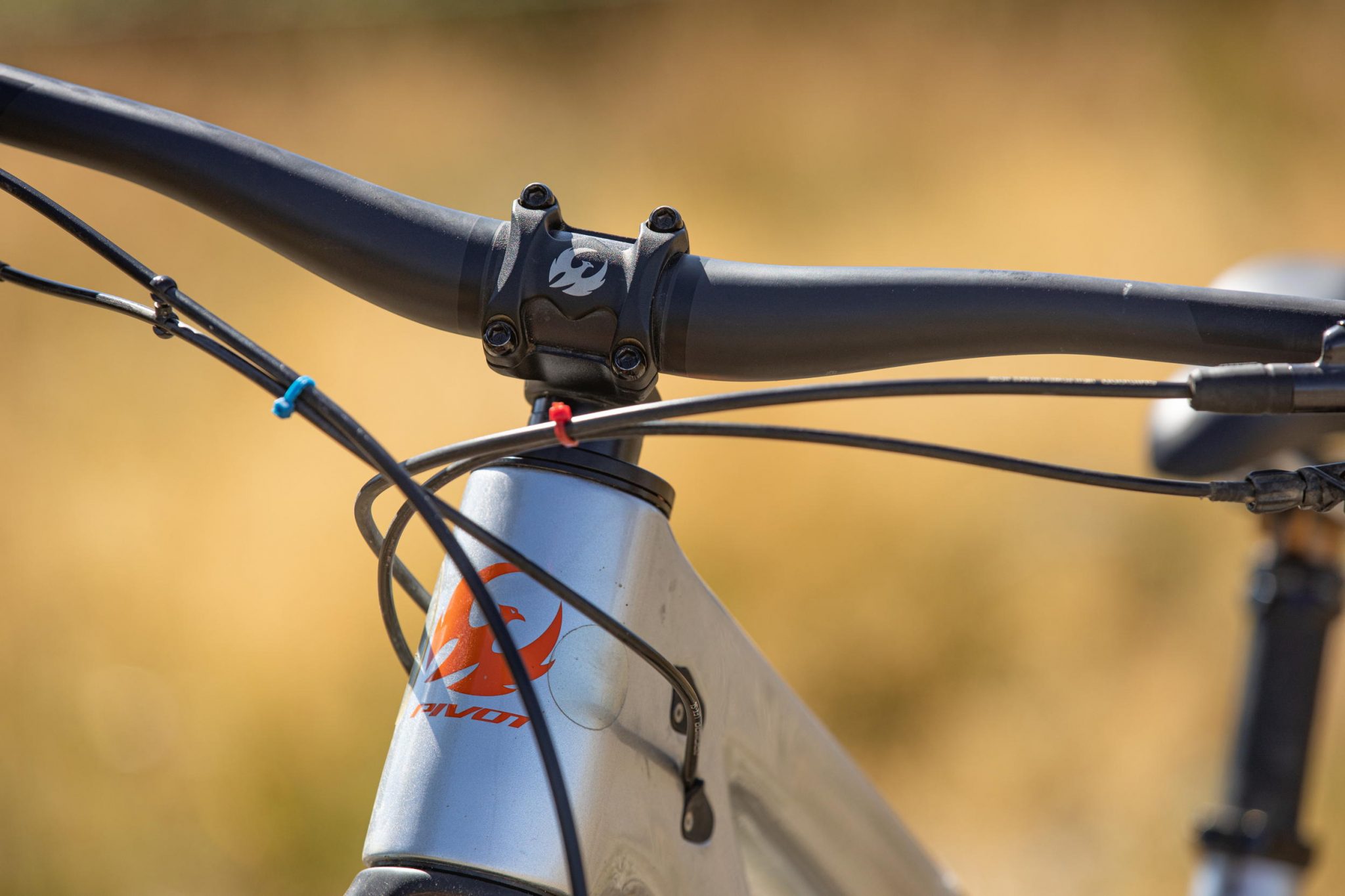 I tested the Pivot Firebird Pro for 12-months and loved it so much I ...