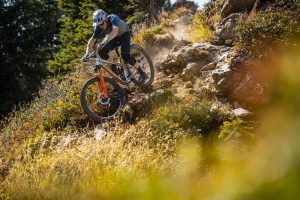 I tested the Pivot Firebird Pro for 12-months and loved it so much I ...