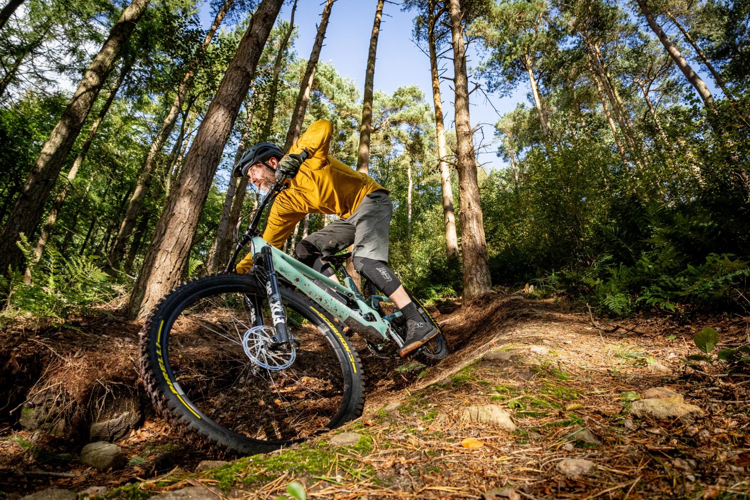 Forbidden’s high-pivot Druid V2 cast a spell on me, and after six ...