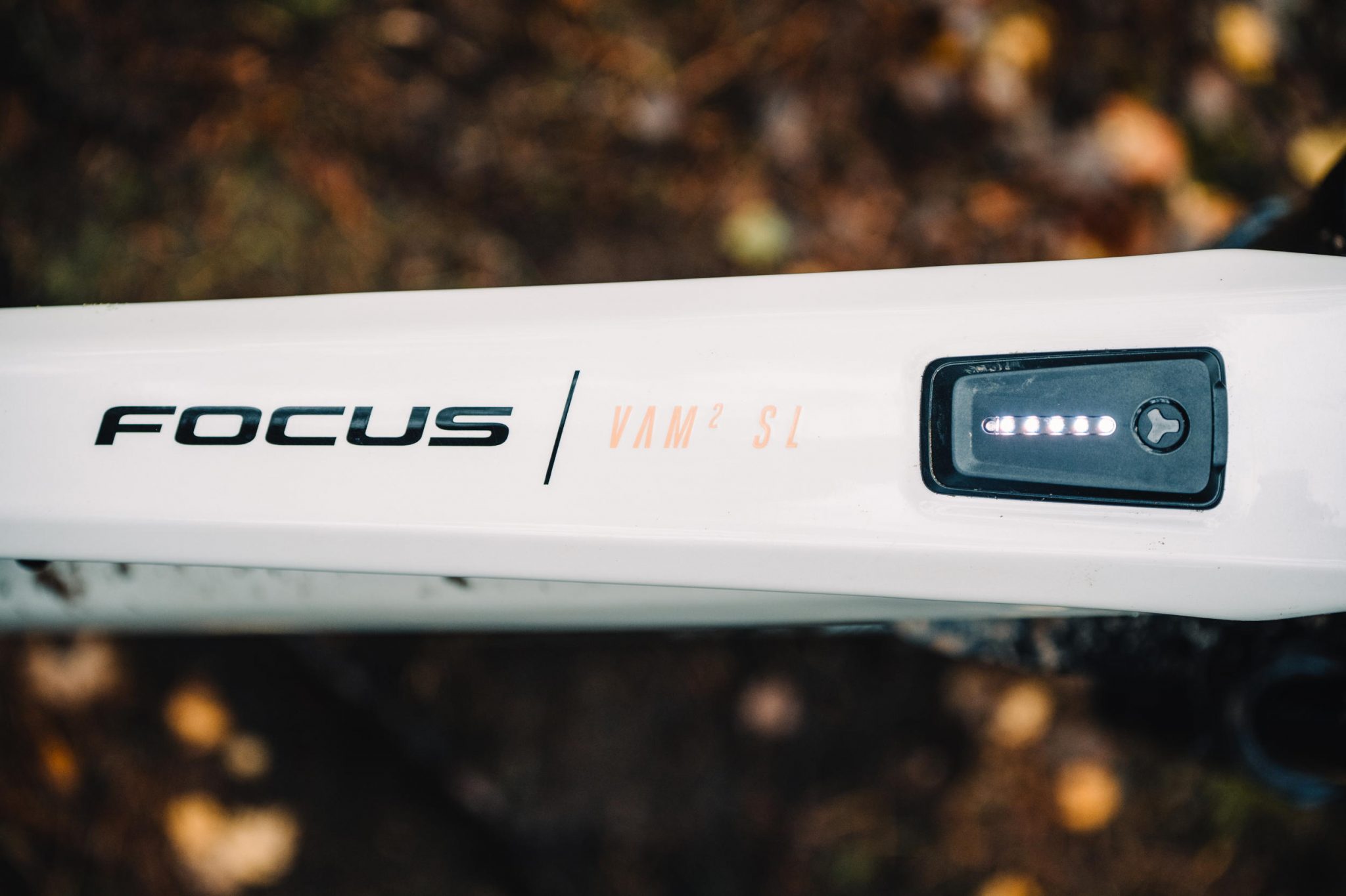 The Focus Vam2 SL e-bike uses flex stay suspension, weighs 16.2kg and dishes out 125mm travel ...