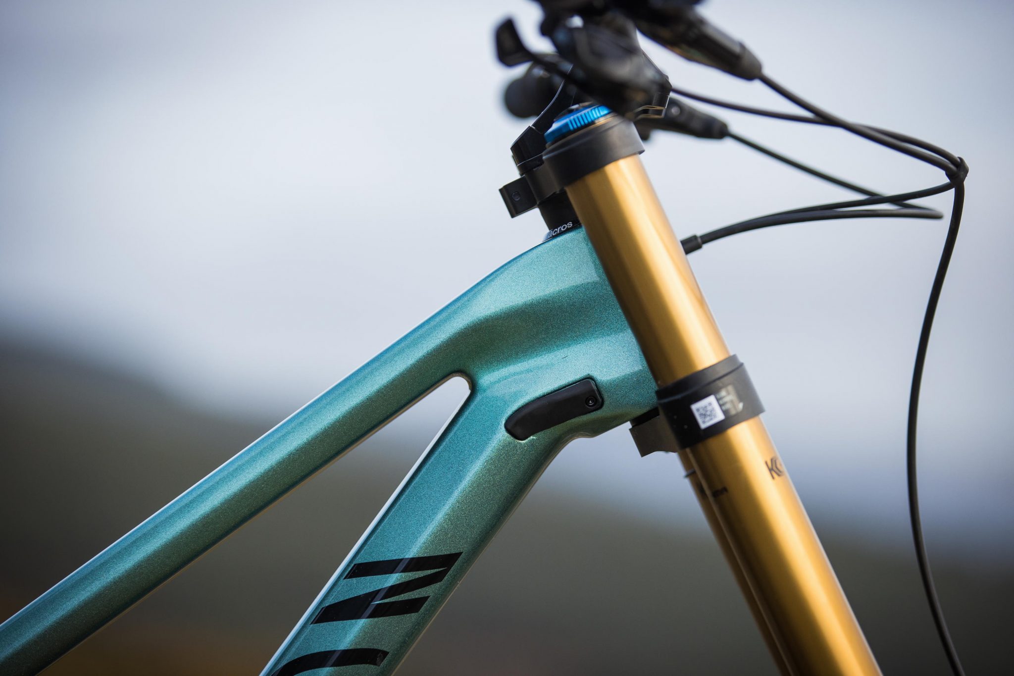 Looking for the fastest direct-sales downhill bike? The Canyon Sender ...