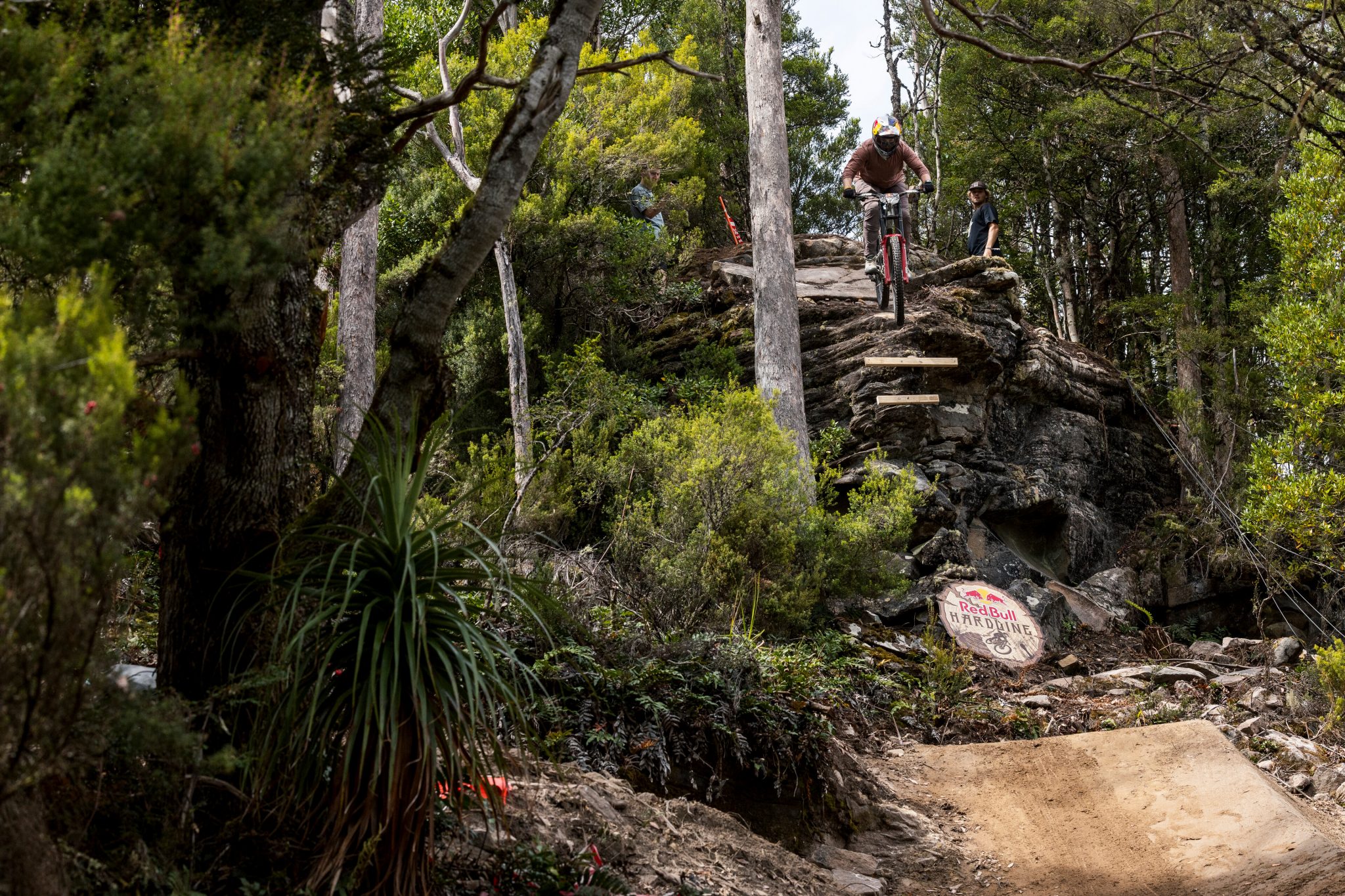 DH racing is back! Red Bull Hardline Australia looks wild – here's how ...