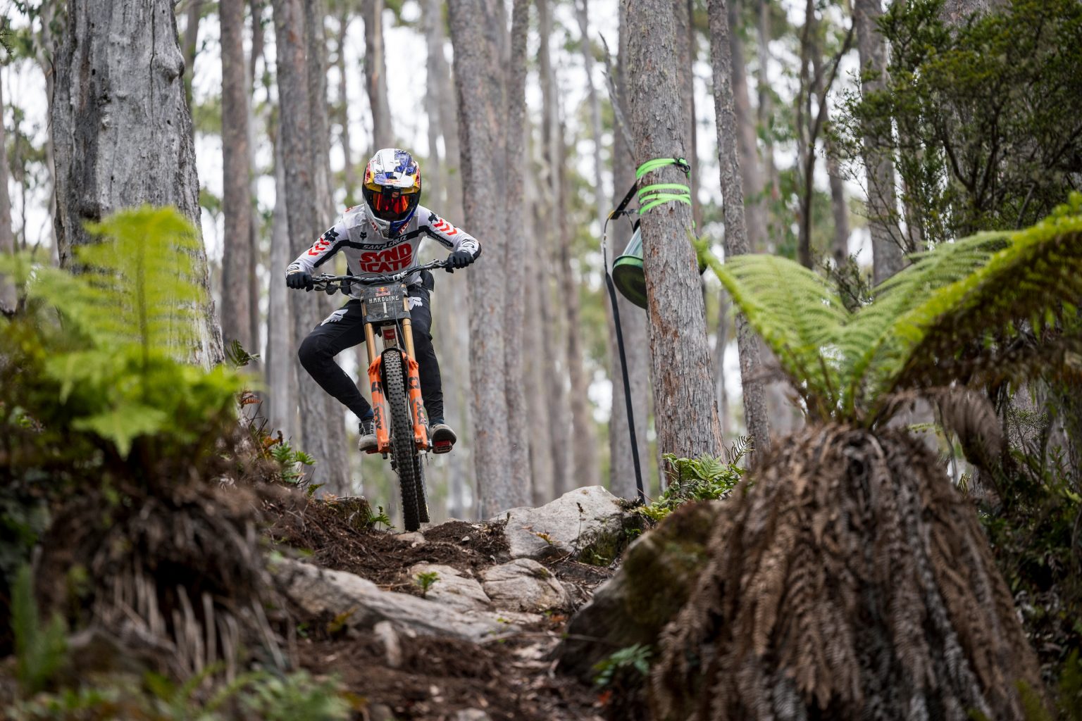 DH racing is back! Red Bull Hardline Australia looks wild – here's how ...