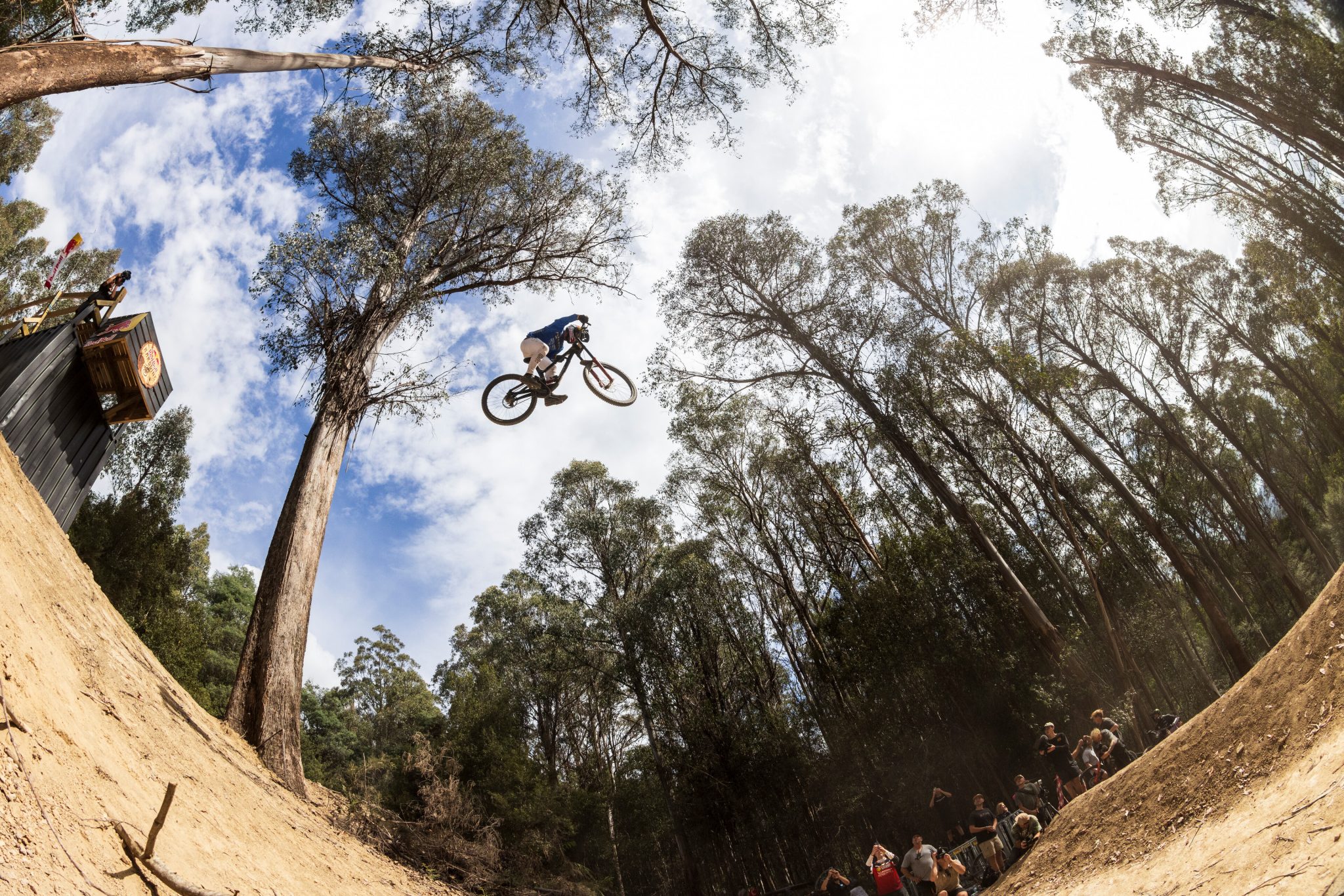 DH racing is back! Red Bull Hardline Australia looks wild – here's how ...