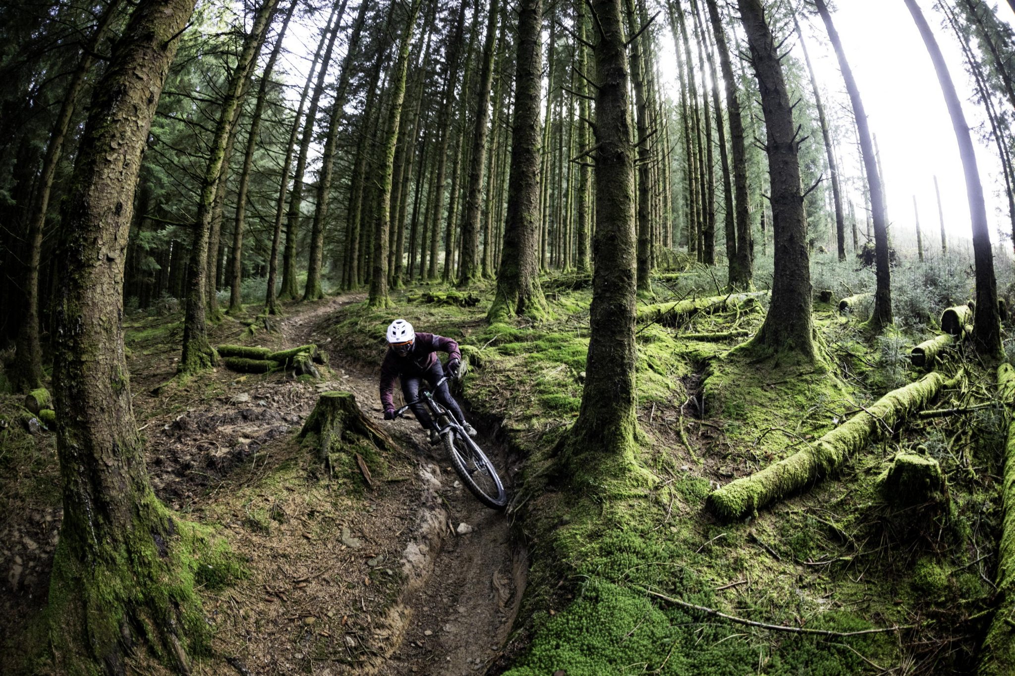 Impressive power and control makes the new Maven Ultimate the best SRAM disc brake we've ridden ...