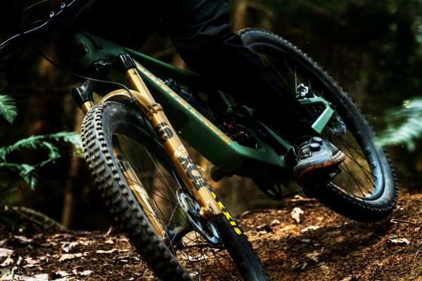 Gold forks are nothing new, but that doesn't mean Fox's special 'Podium ...