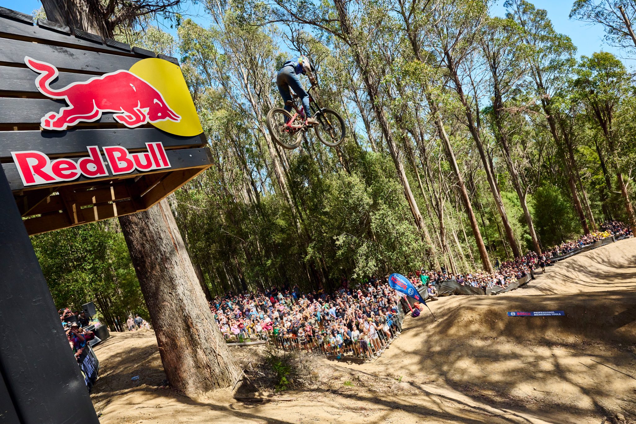 Red Bull Hardline Wales 2024: how to watch, who's riding and THAT ...