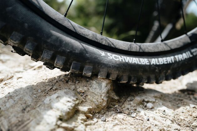 Why Schwalbe’s new Albert and Shredda radial tyres could change ...