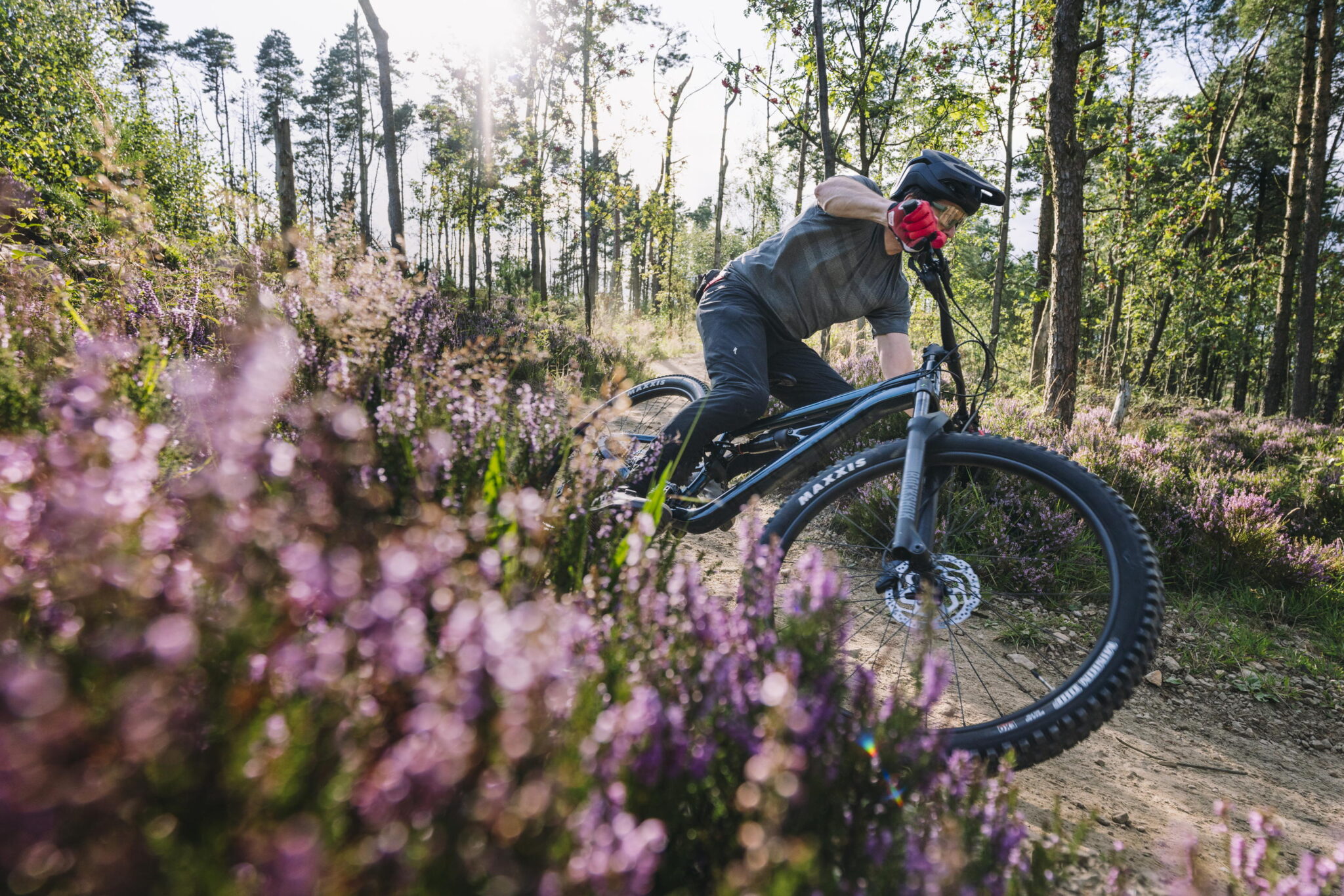 Best mountain bike trails and routes in the UK - MBR