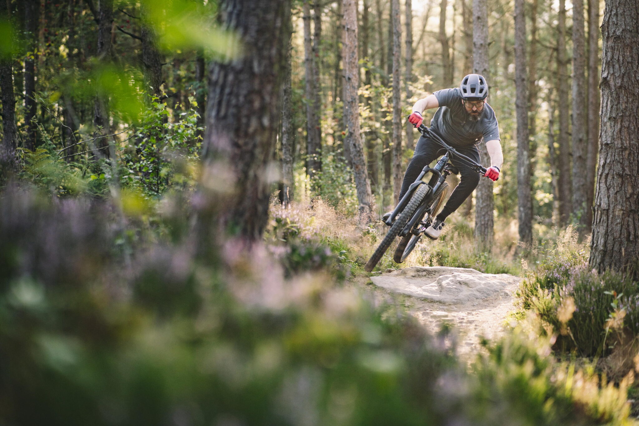 All of this for just £1,500? Calibre's Bossnut is back, with more ...