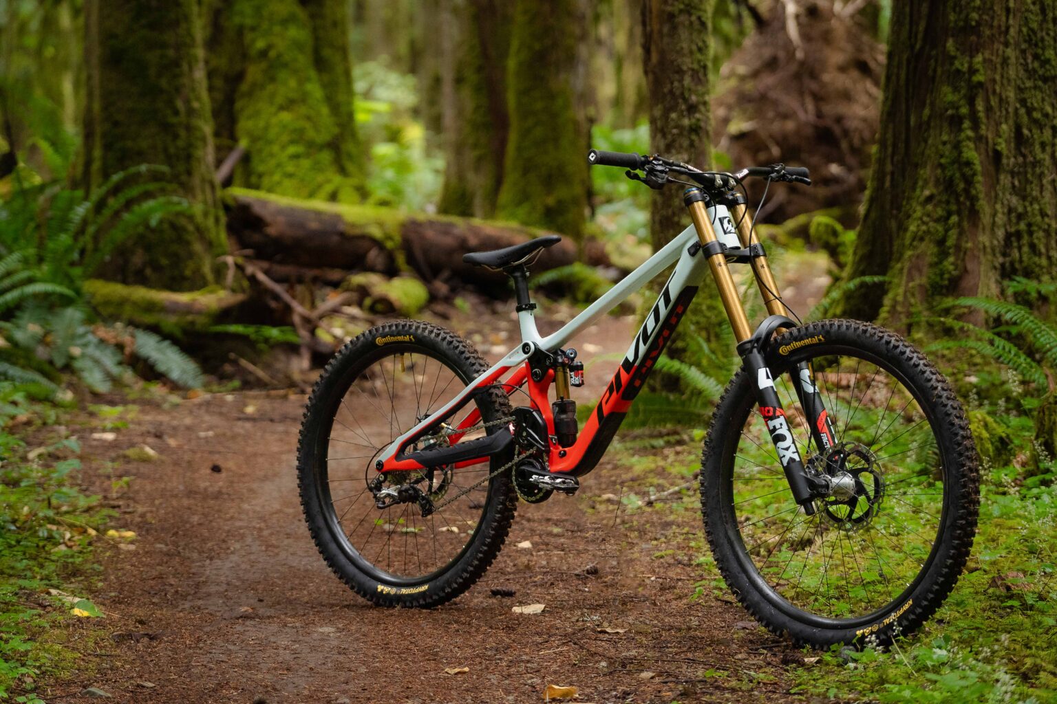 12 most exciting new trail, enduro, and DH bikes for 2025 - MBR