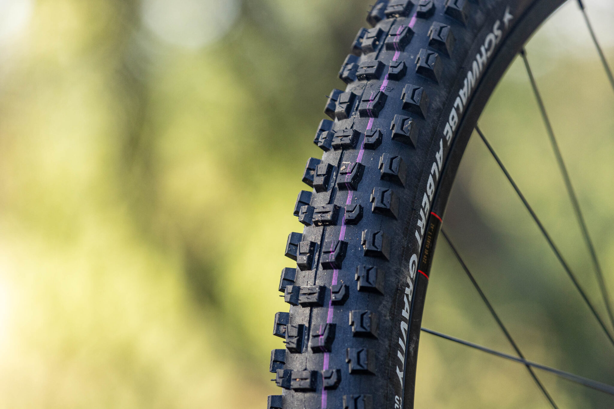 I've tested hundreds of mountain bike tyres, and the Schwalbe Albert ...
