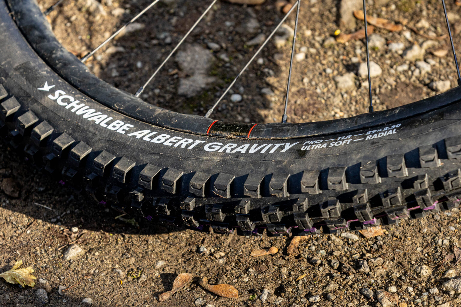 I've tested hundreds of mountain bike tyres, and the Schwalbe Albert ...
