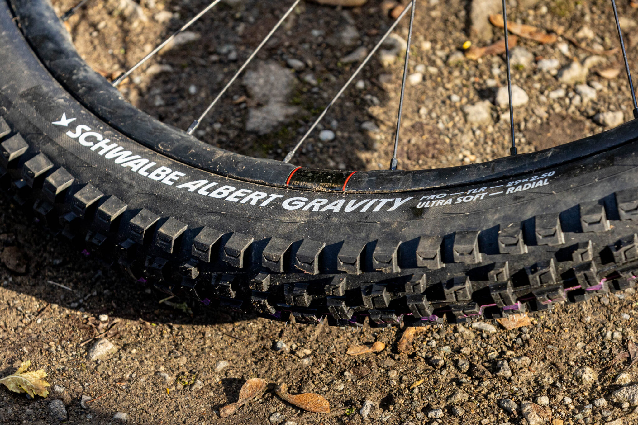I've tested hundreds of mountain bike tyres, and the Schwalbe Albert ...