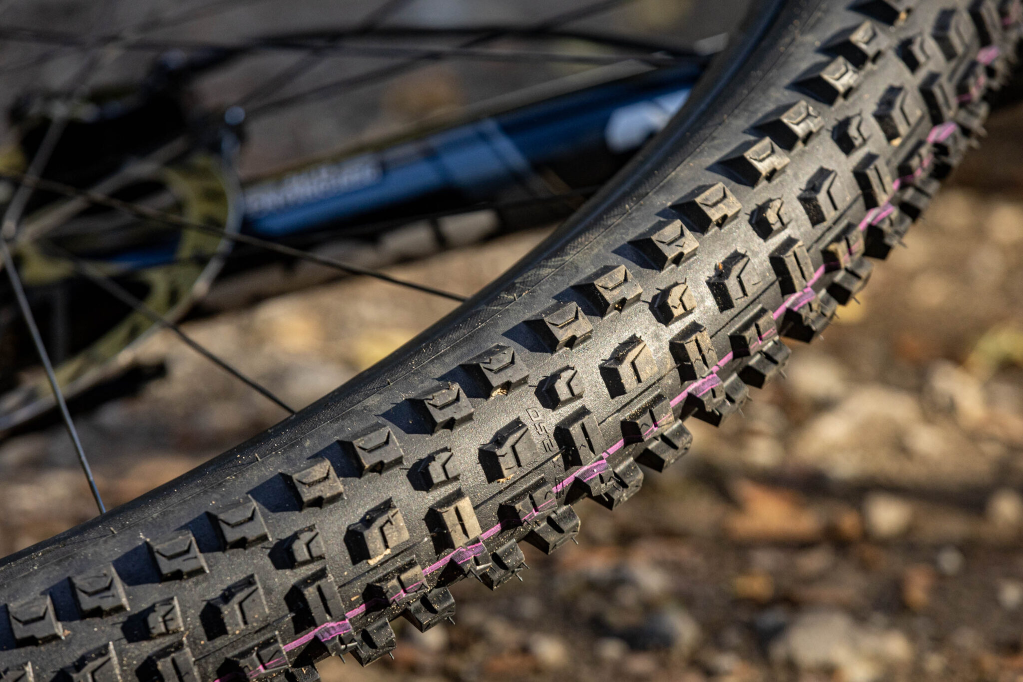 I've tested hundreds of mountain bike tyres, and the Schwalbe Albert ...