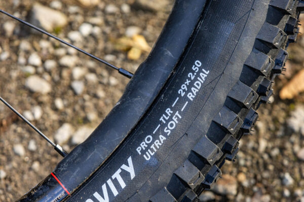 I've tested hundreds of mountain bike tyres, and the Schwalbe Albert ...