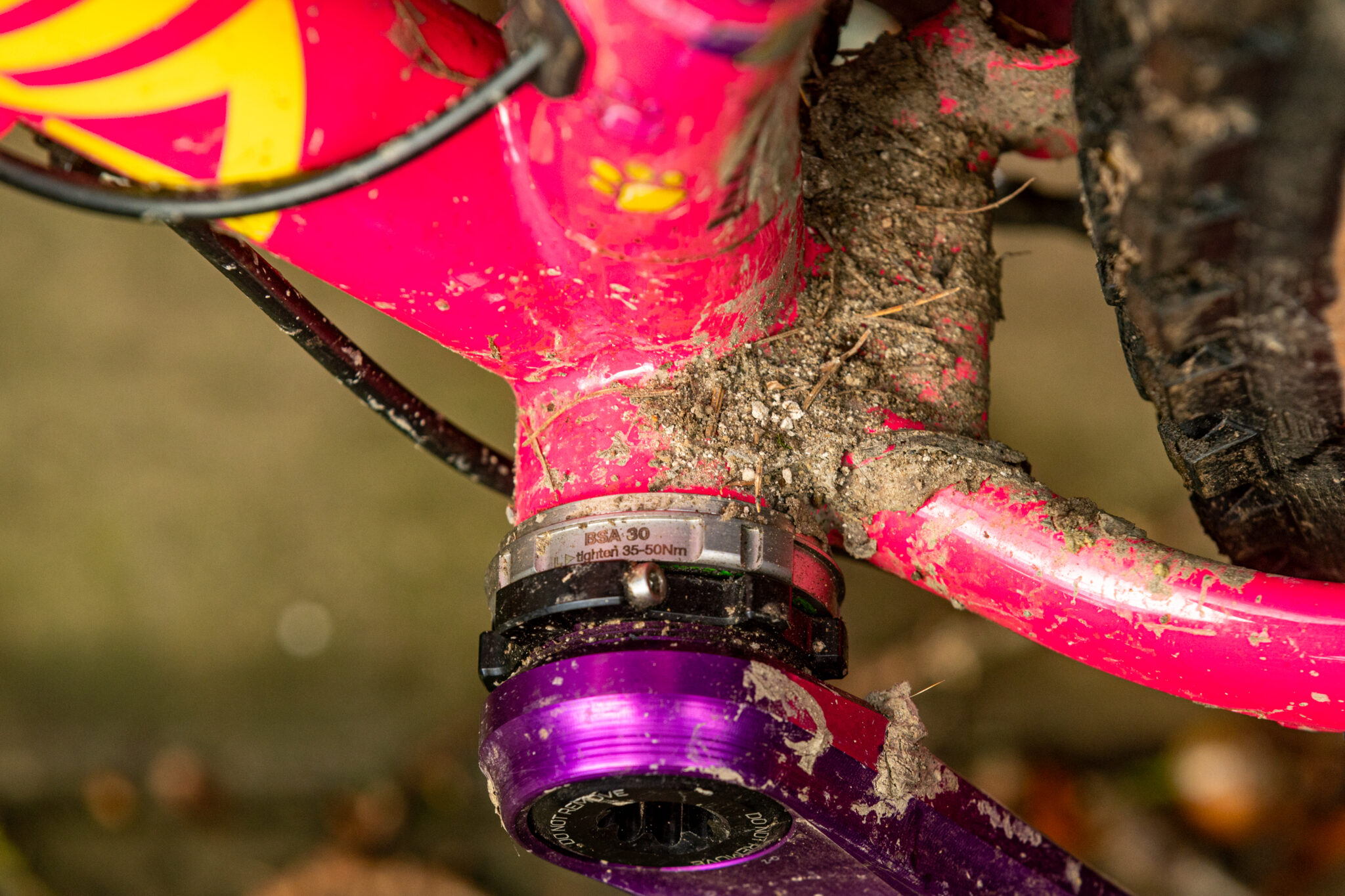 Michelin's Wild Enduro is the privateer's choice, but will the new V2 ...