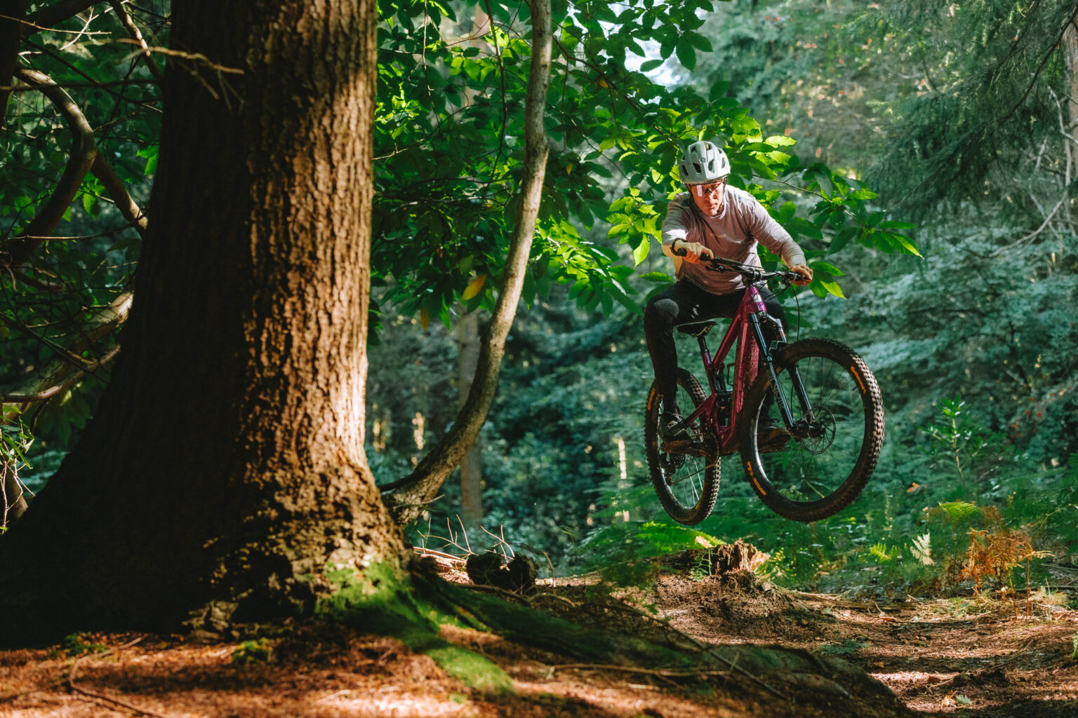 The addictive Santa Cruz Heckler SL came within a whisker of winning my ...