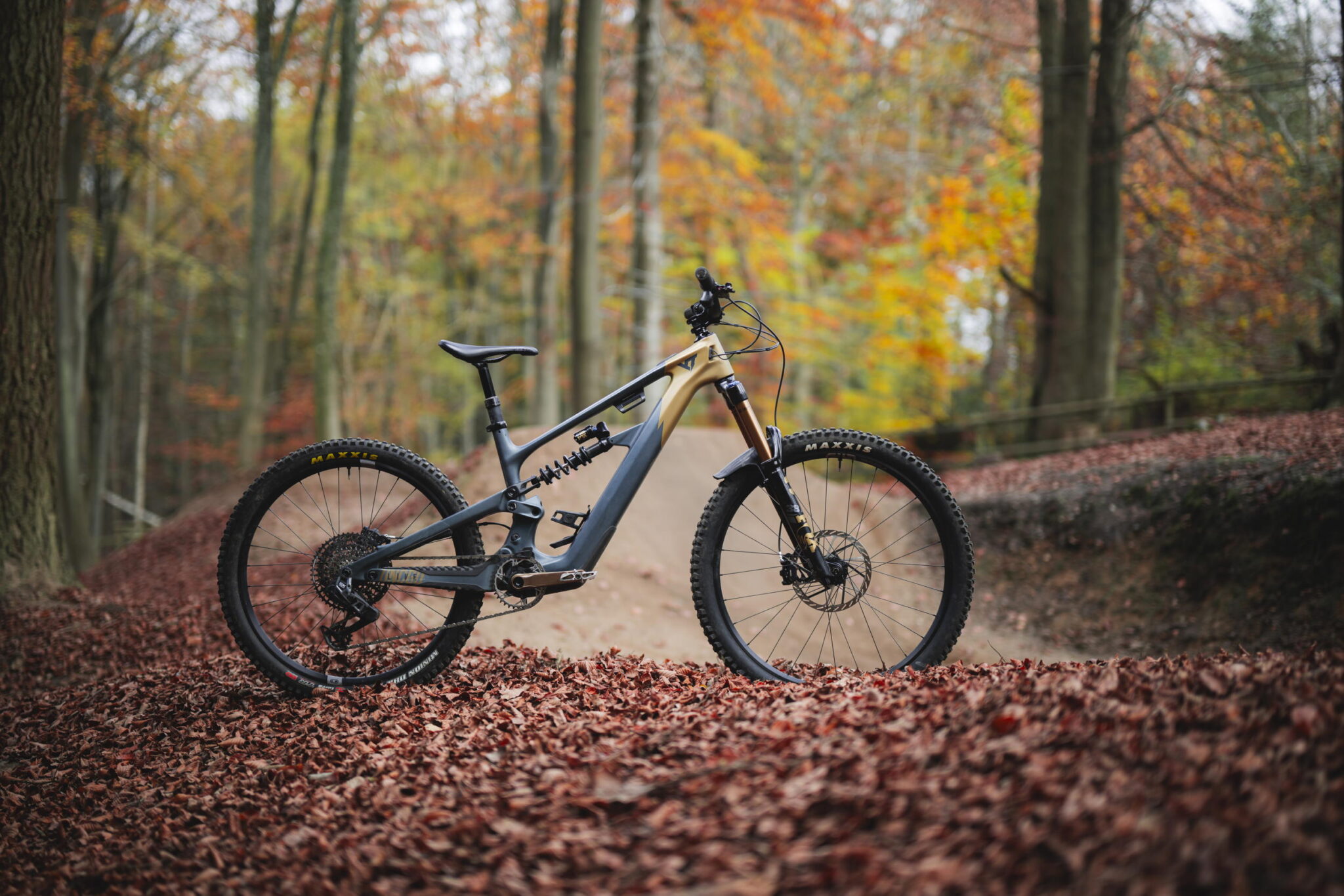 YT has nailed the sizing, geometry, and handling of the Decoy SN, but ...
