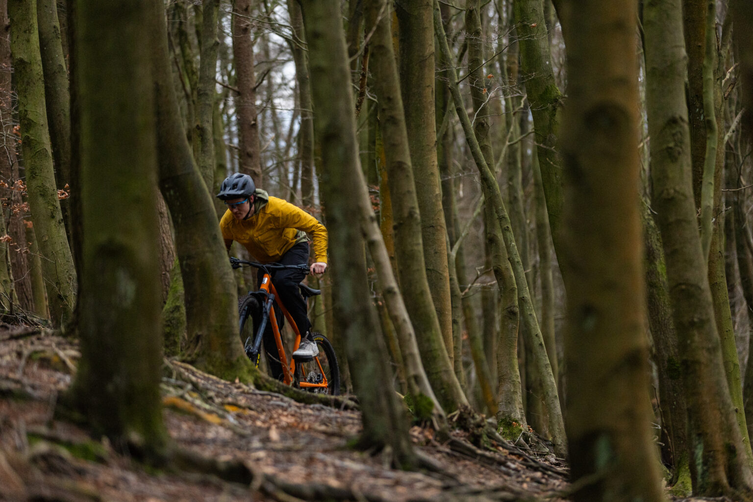 Cotic’s Solaris steel hardtail is for proper singletrack, bike packing ...