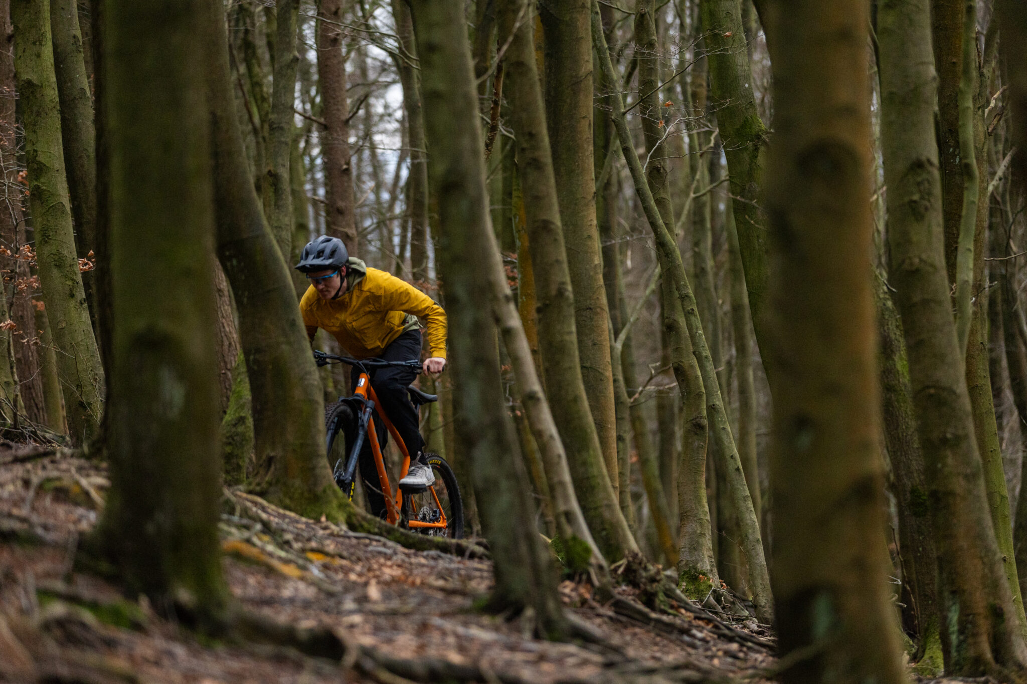 Cotic’s Solaris steel hardtail is for proper singletrack, bike packing ...