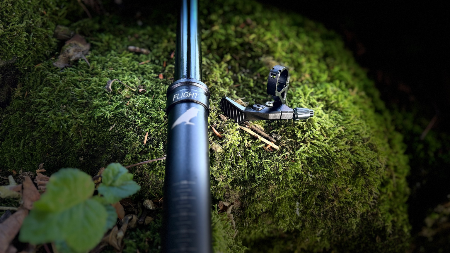 Why two former Wiggle Chain Reaction Cycles bosses launched a new ...