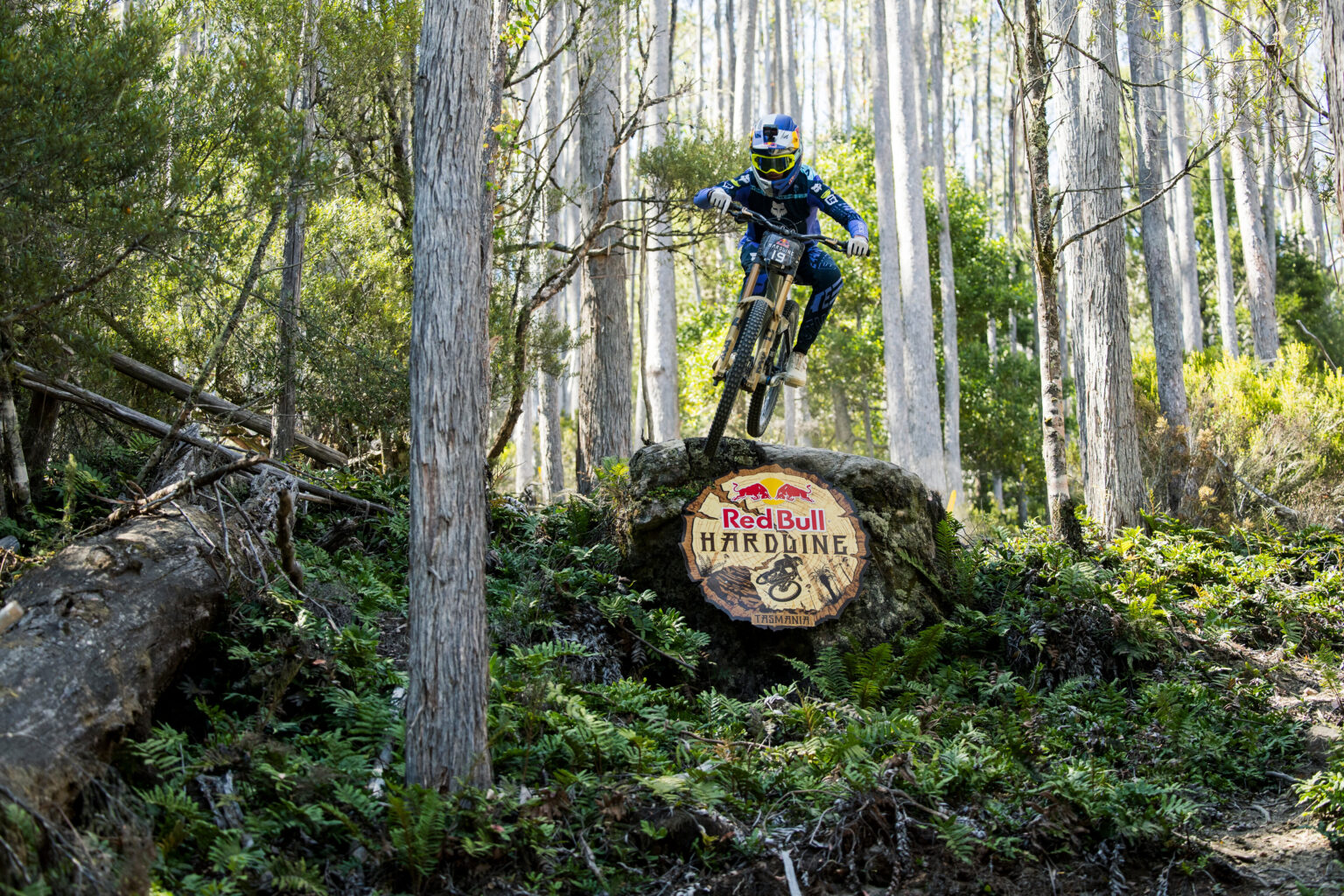 Five things we learned from watching a brutal Red Bull Hardline Tasmania - MBR