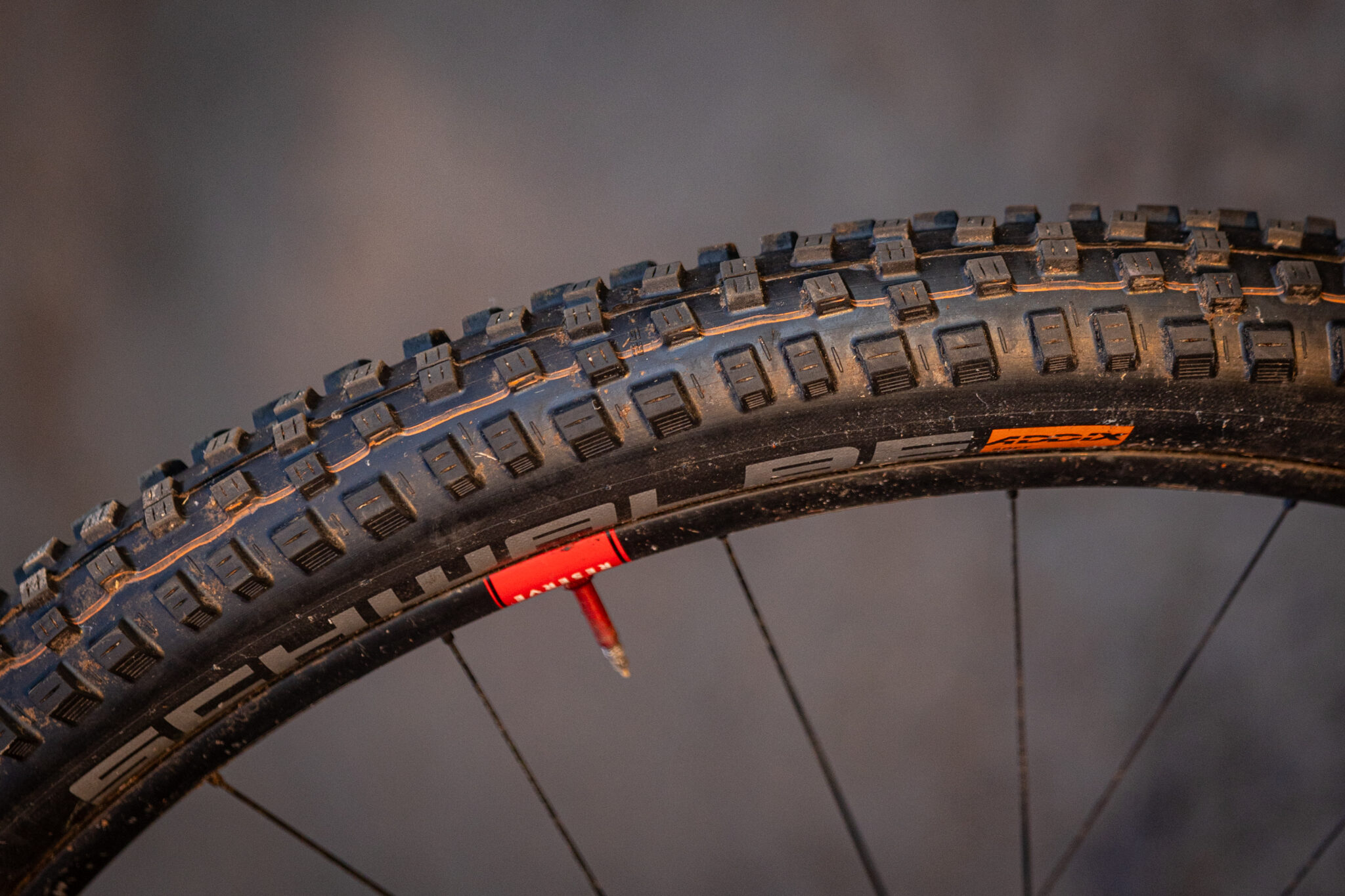 Schwalbe’s Nobby Nic Soft is a Magic Mary for people who like to pedal ...