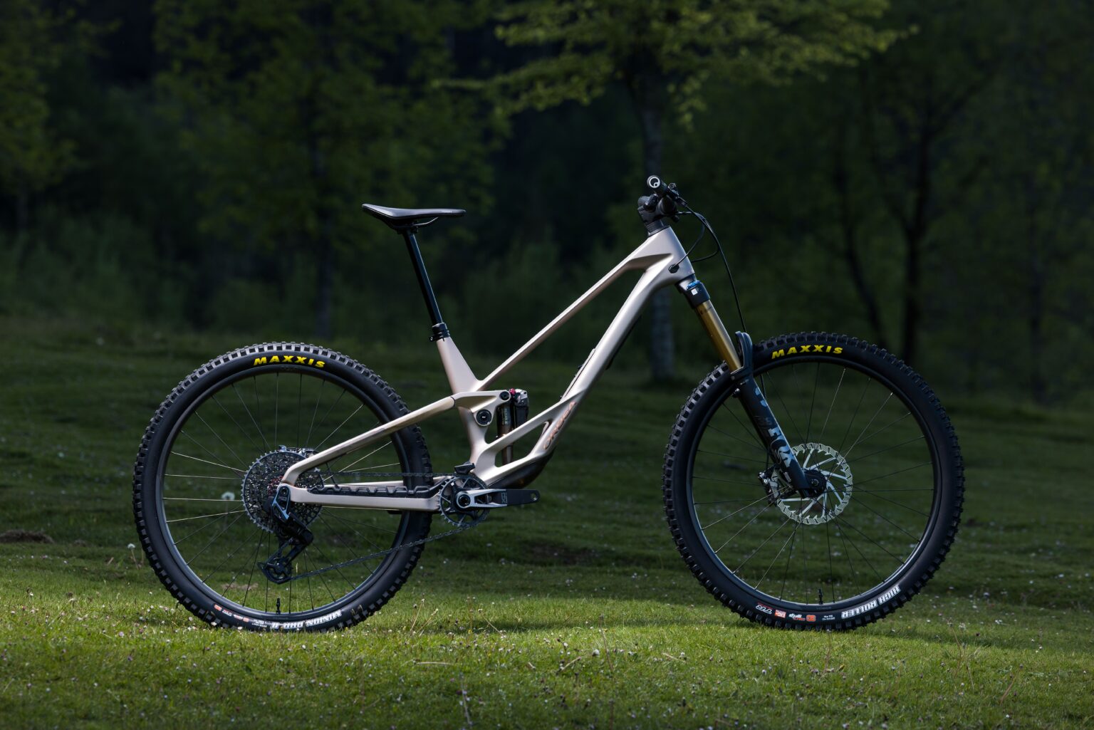 Orbea’s new Rallon downhill bike is totally unique: add weights to tune the ride, choose from ...