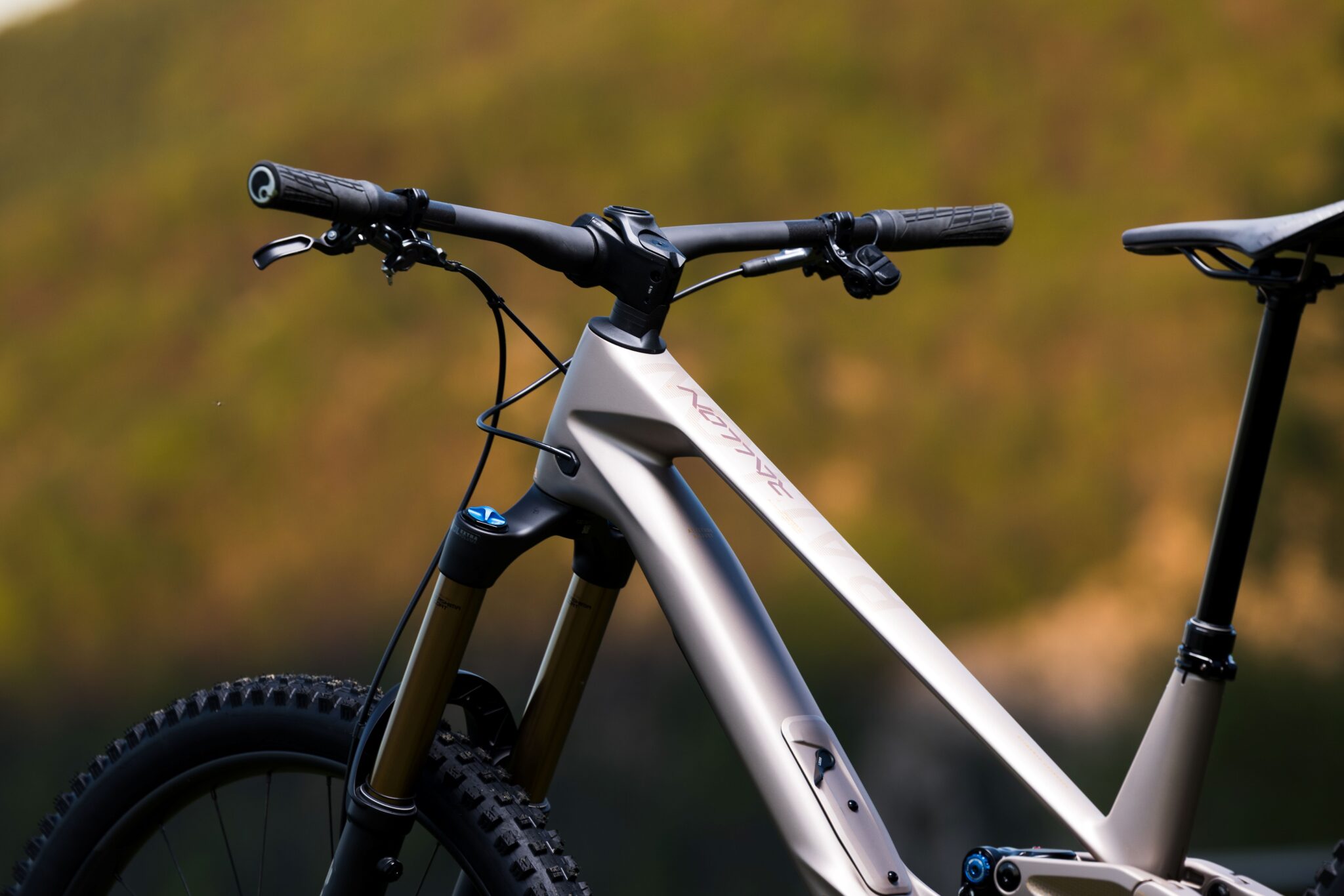 Orbea’s new Rallon downhill bike is totally unique: add weights to tune the ride, choose from ...