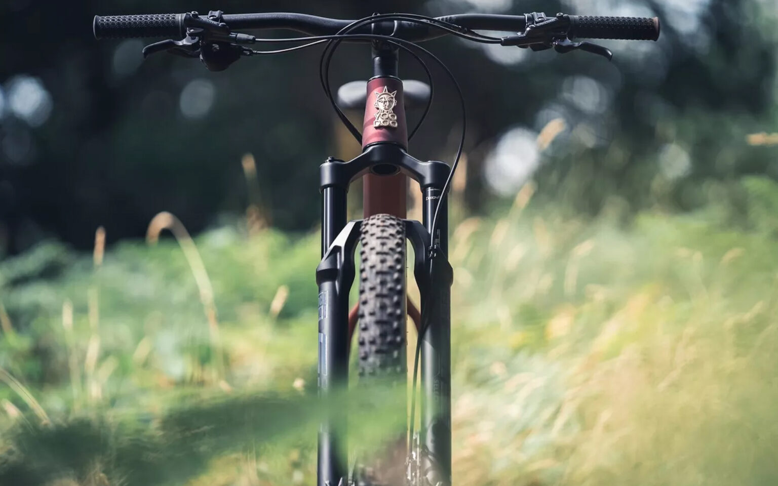 This awesome Voodoo Bizango hardtail with a carbon frame is currently ...