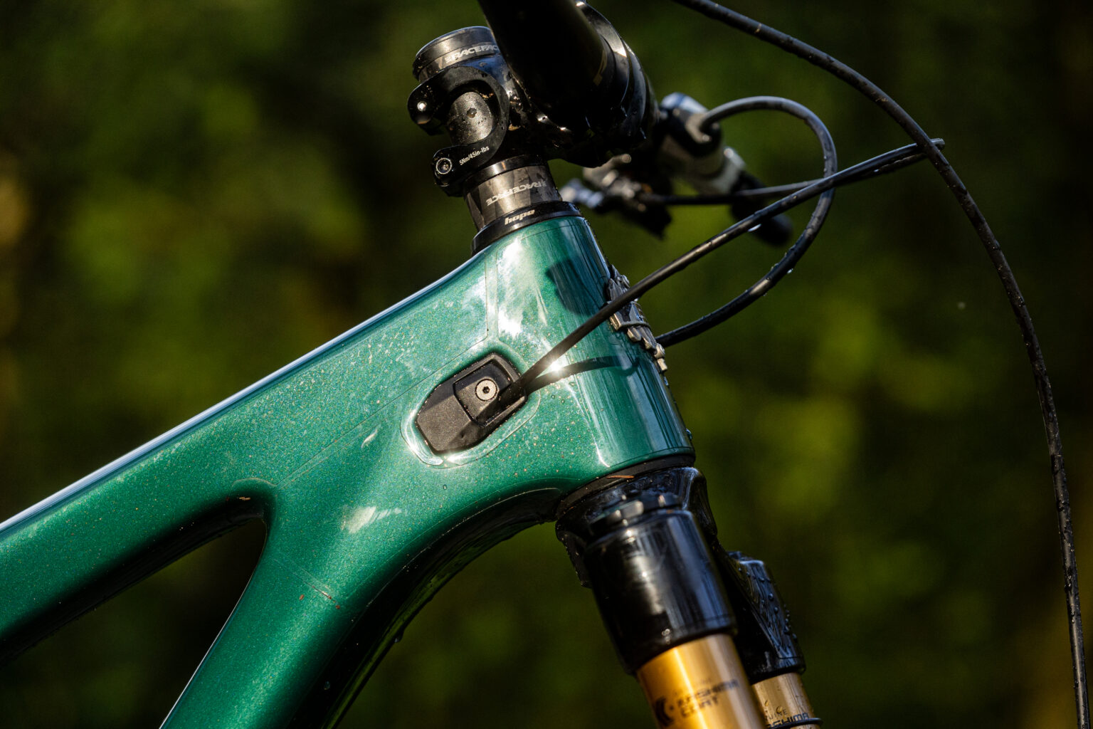 After 20 years testing, Yeti's SB140 Silverfish is the one bike I'd ...