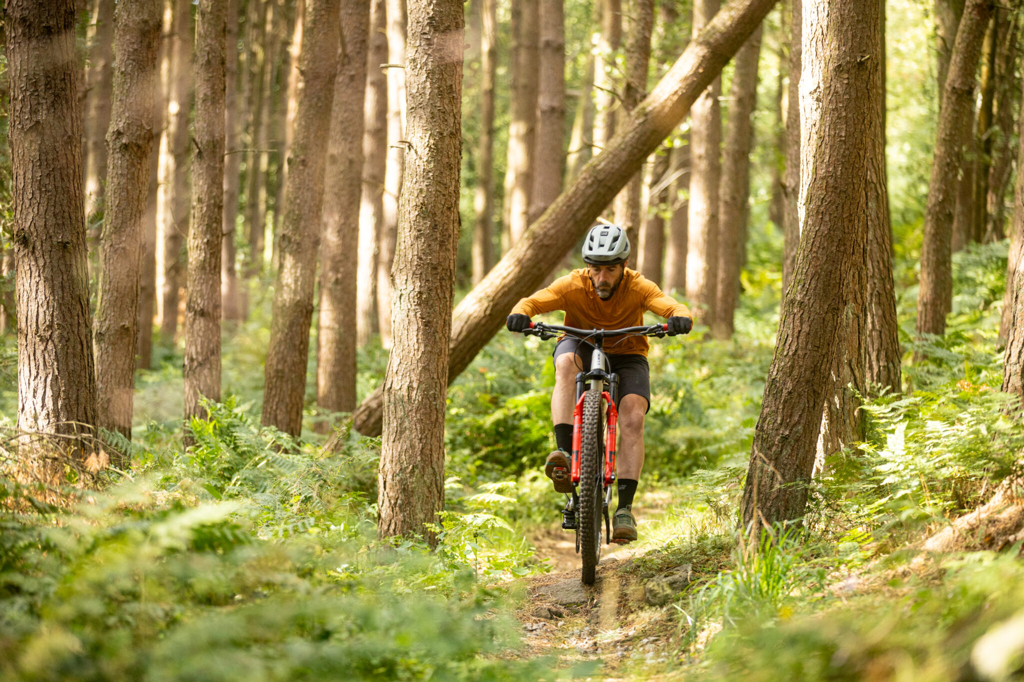Cube's Reaction hardtail is bulletproof: designed for agility and muddy ...