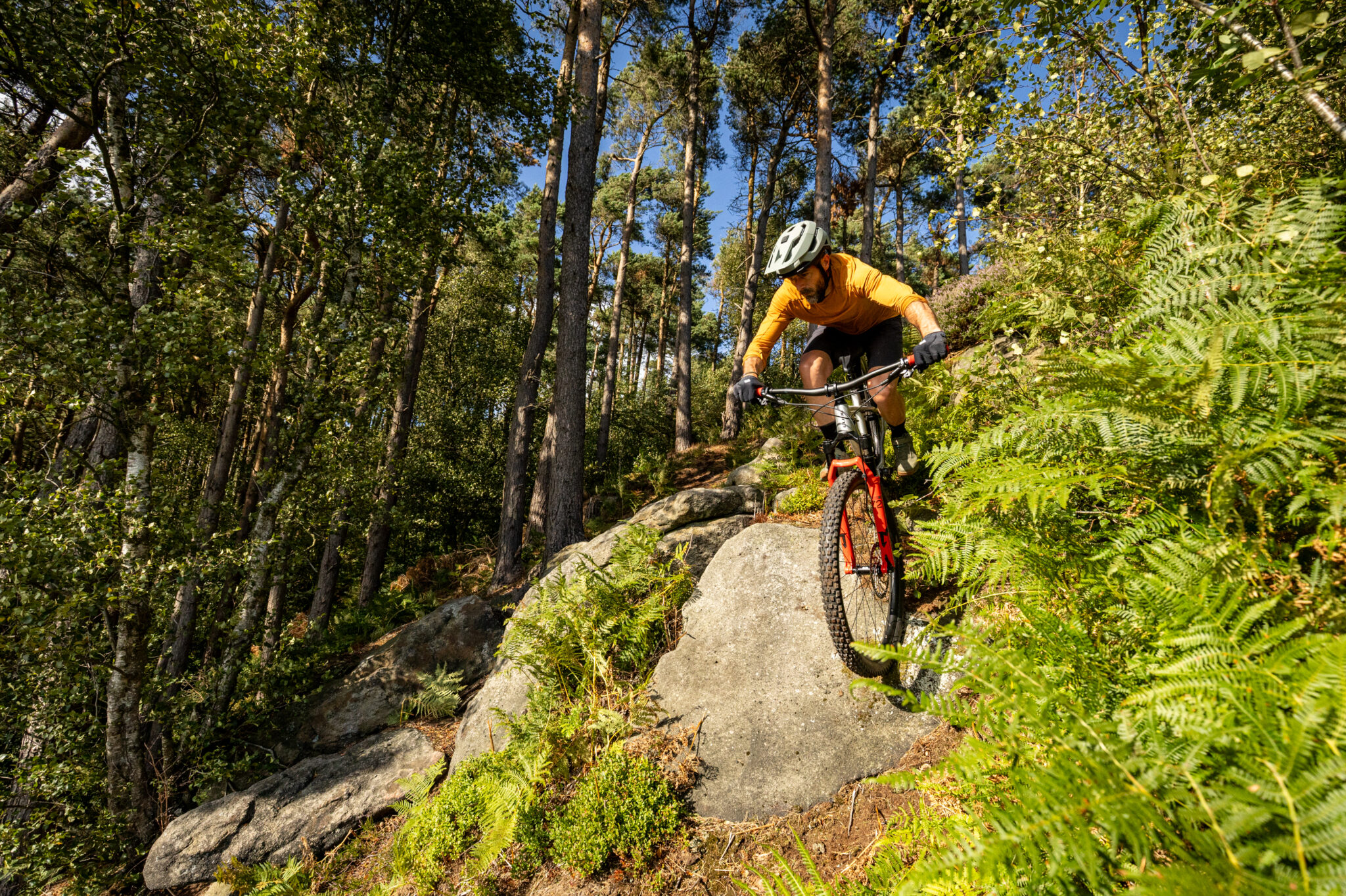 Cube's Reaction hardtail is bulletproof: designed for agility and muddy ...