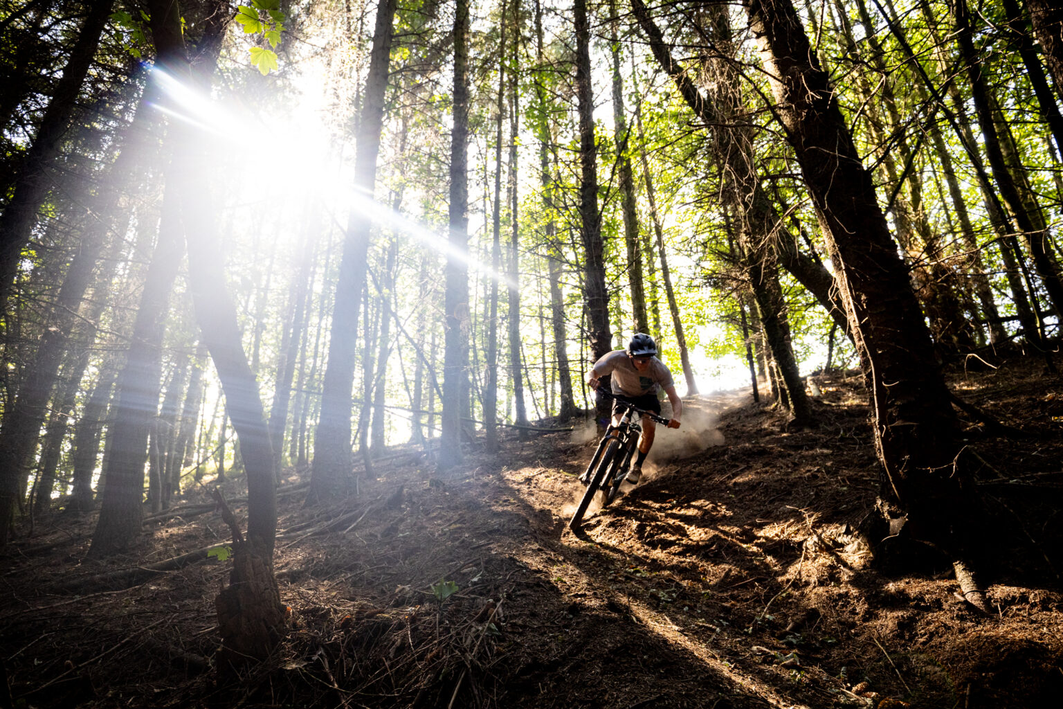 I've tested hardtails for over 20 years, Whyte's new Secta RS is the ...