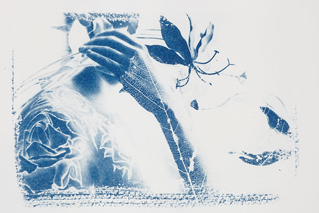 How to make cyanotypes: top tips - Amateur Photographer