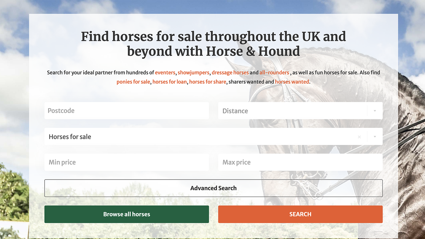 How to choose the right horses to view when looking to buy a horse