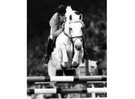 Milton: 12 fascinating facts about our hero - Horse & Hound