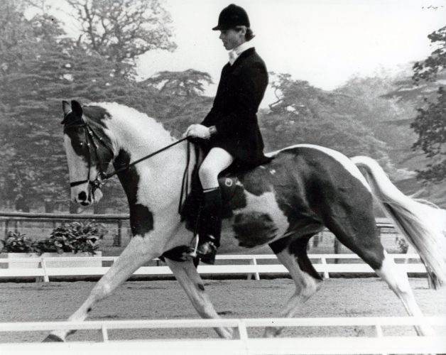 Carl Hester in pictures: from the archives - Horse & Hound
