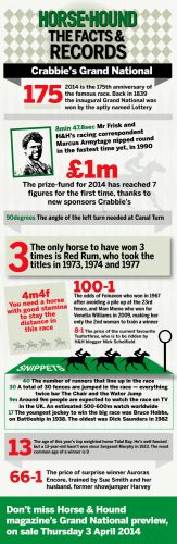 Grand National in numbers [INFOGRAPHIC] - Horse & Hound
