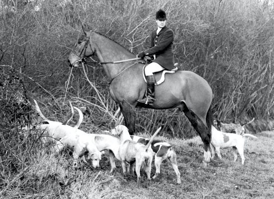 Stephen Lambert: Handing over the reins [H&H VIP] - Horse & Hound