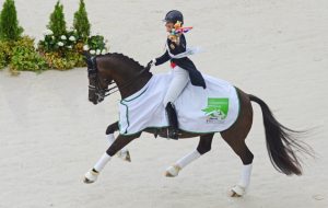 Valegro to star in novels for young fans - Horse & Hound
