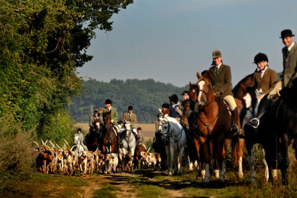 Autumn hunting: H&H's dos and don'ts - Horse & Hound