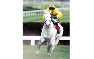 Who's your favourite grey racehorse? [PICS] - Horse & Hound