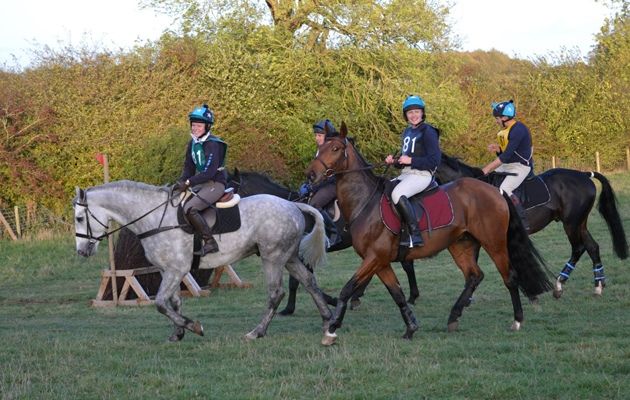 Stallion quartet make team chasing history - Horse & Hound