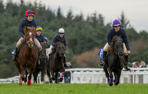Clydesdales and Dartmoor hill ponies showcase their speed [VIDEO ...