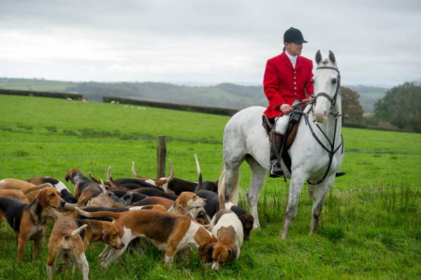 Were you out with the West Percy or Tiverton Staghounds? [PICTURES ...