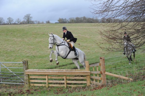 Were you out with the Bicester Hunt with Whaddon Chase or at the ...