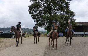 Have you been to a horsey hen party? [PICTURES] - Horse & Hound