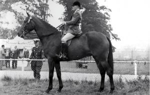 Golden oldies: today's equestrian legends pictured past and present ...